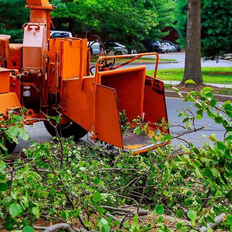Rotherham's Best Tree Surgeons Delivering Top Quality Tree Services